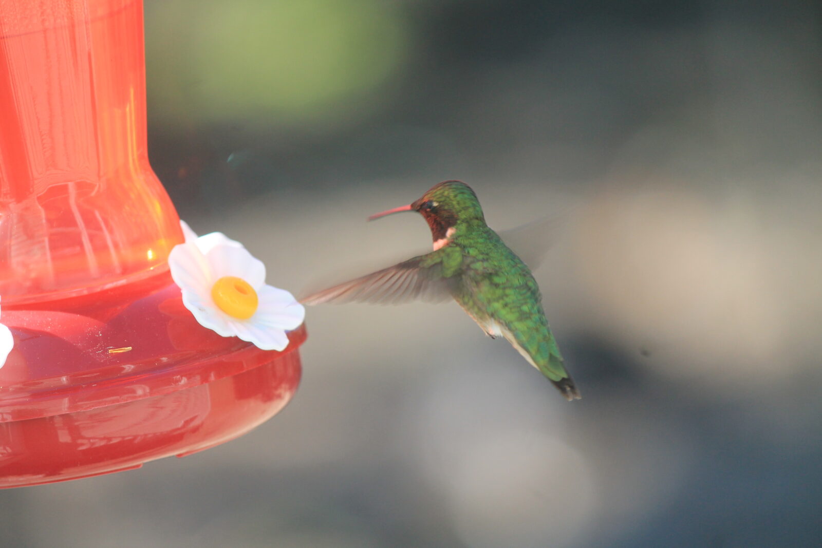 Photo Gallery - Retreat at Loon Pond