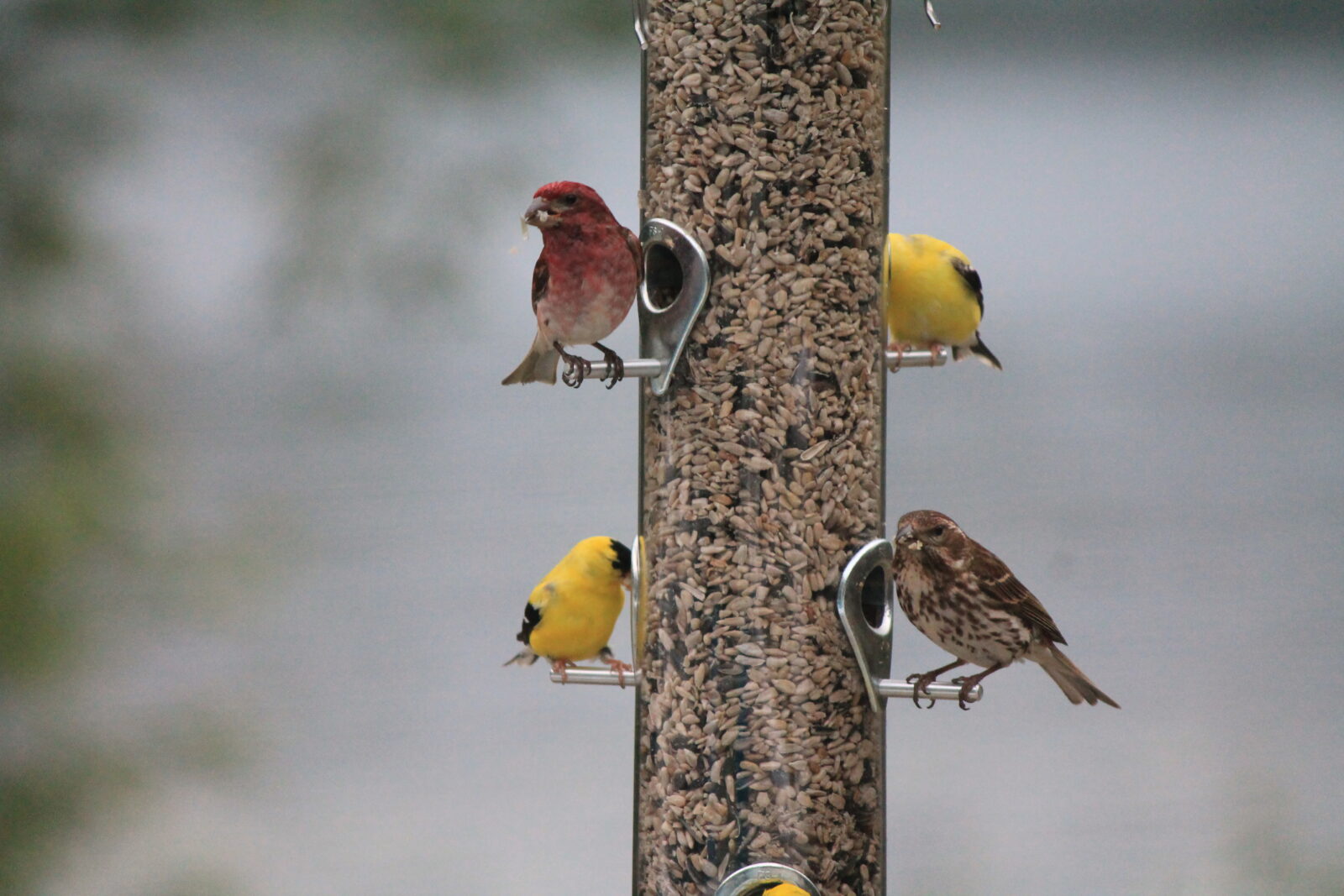 Photo Gallery - Retreat at Loon Pond